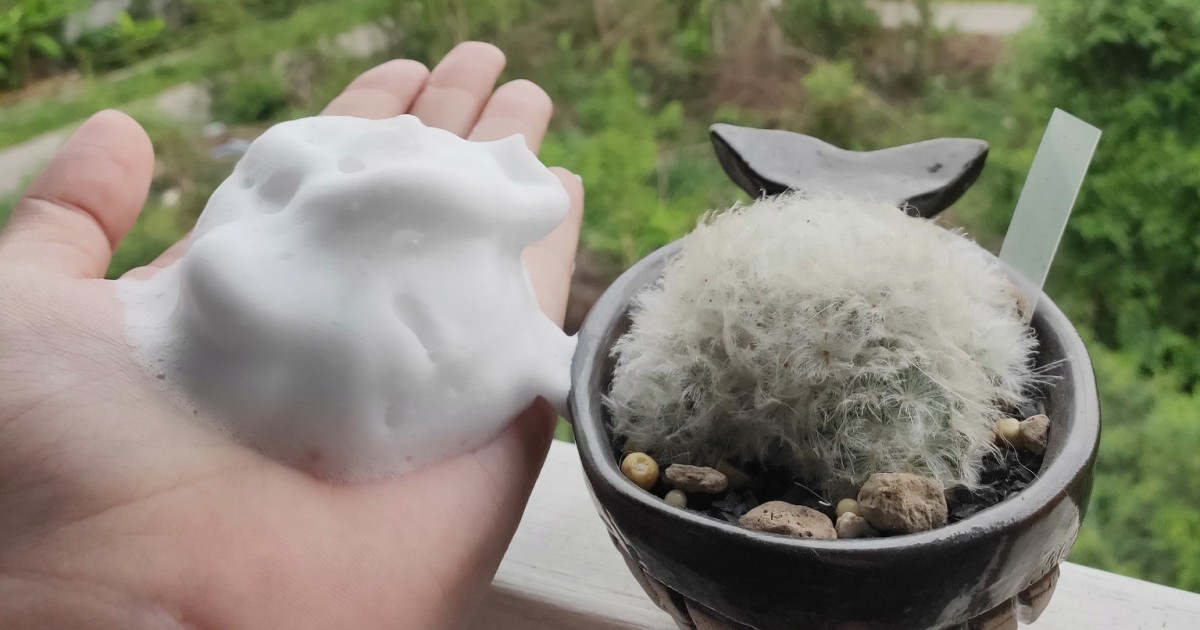 [Review] KA WHITE MAGIC WHIP FOAM วิปนุ่มเนื้อแน่นของไทย ตำดีไหมนะ???