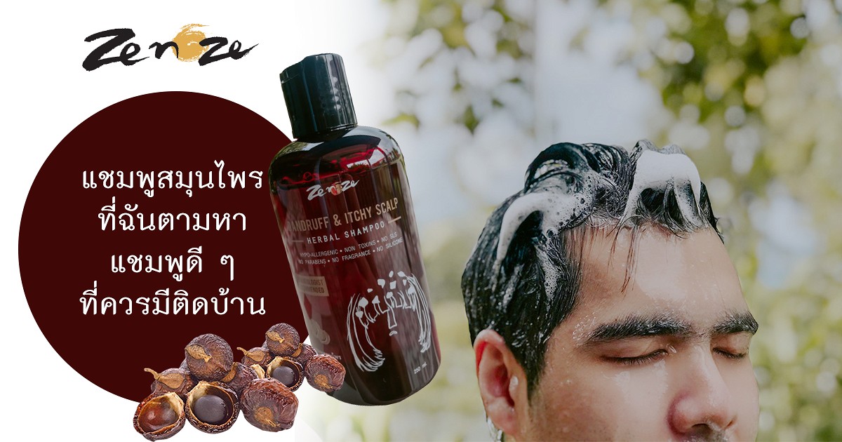ZENZE แชมพูสมุนไพรที่ฉันตามหา แชมพูดี ๆ ที่ควรมีติดบ้าน