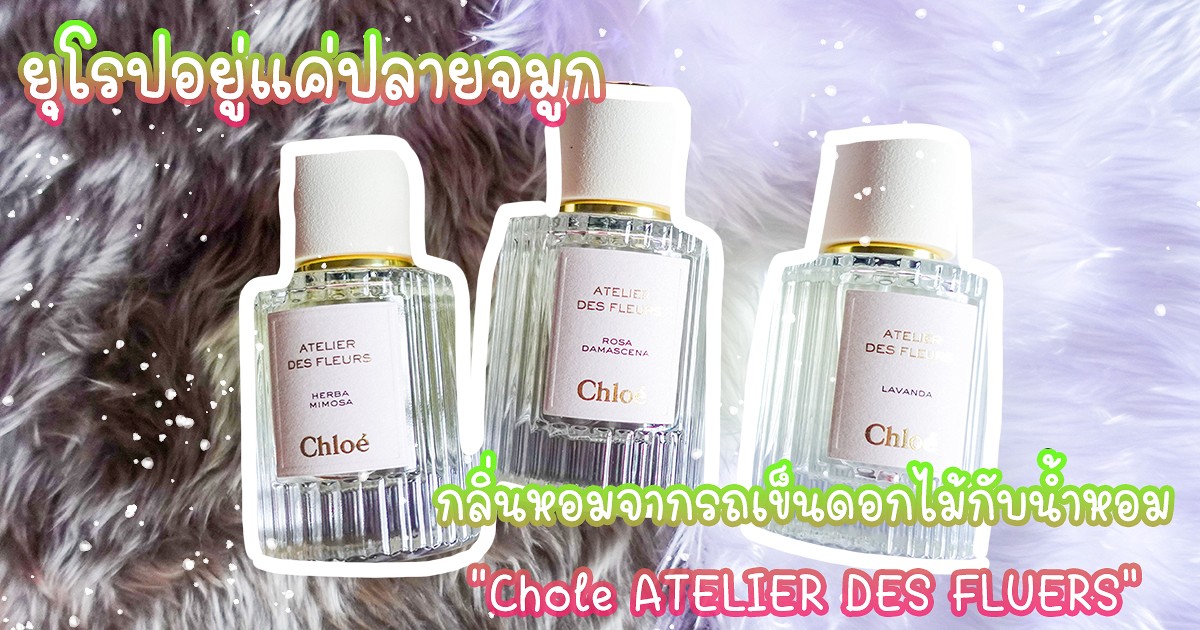 [REVIEW] ยุโรปอยู่แค่ปลายจมูก สัมผัสประสบการณ์กลิ่นหอมจากรถเข็นดอกไม้ ...