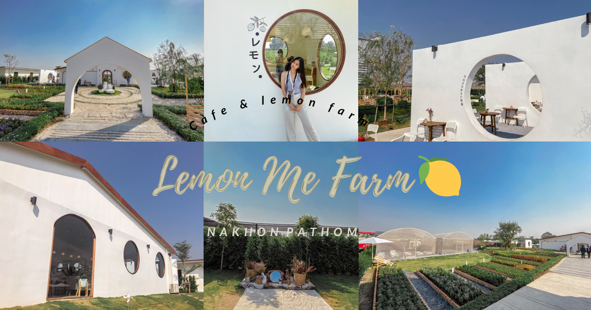 Lemon Me Farm : คาเฟ่เปิดใหม่ย่านนครปฐม กับมุมถ่ายรูปสไตล์มินิมอล~