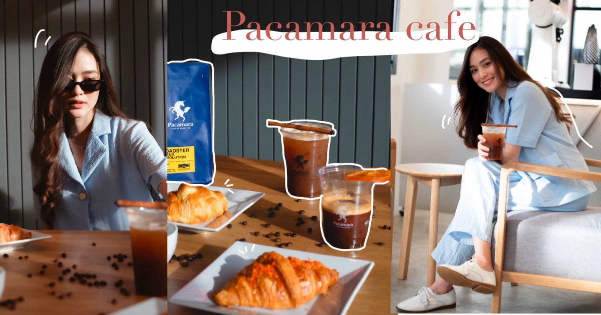 พาทัวร์ Pacamara cafe สายคาเฟ่ปักหมุดรออีก 1 จ้าาา