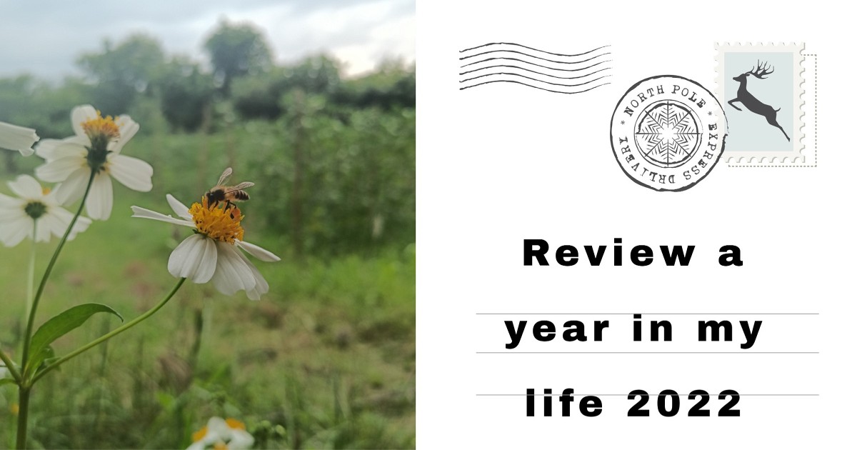 Review a year in my life 2022.
