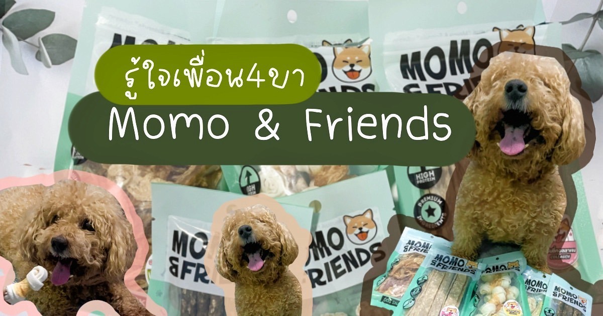 รู้ใจเพื่อน 4 ขา Momo&Friends