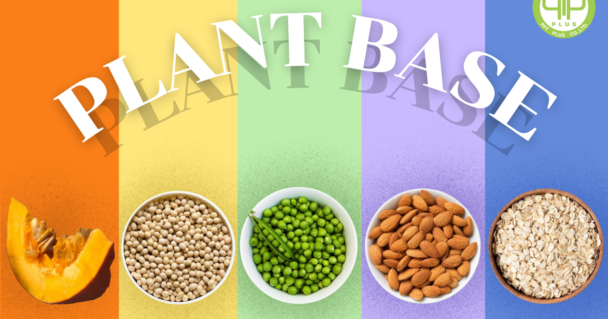 Plant Base สุตฮิต เพื่อฟิตสุขภาพ