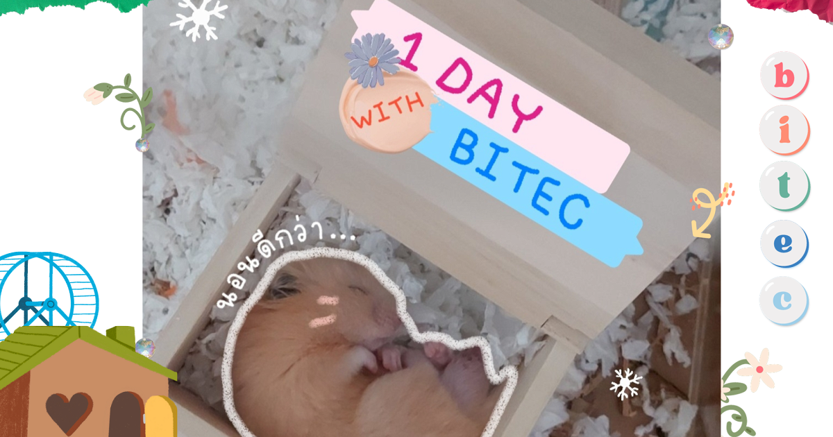 1 DAY WITH BITEC