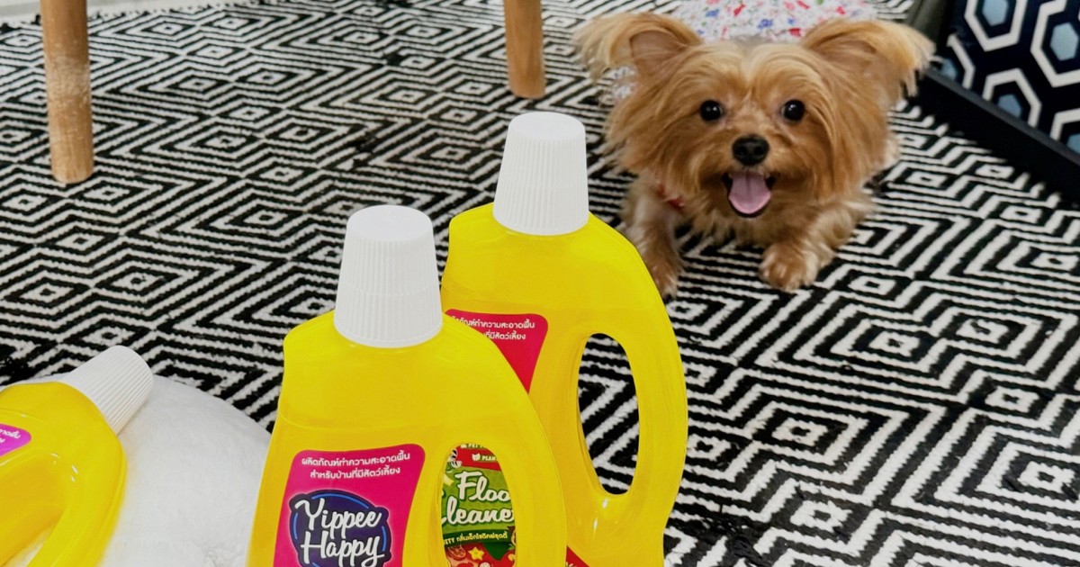Yippee Happy | น้ำยาถูพื้นสำหรับสัตว์เลี้ยงที่พี่เจ้าและจุนหนูหมูหยองไว้ใจ