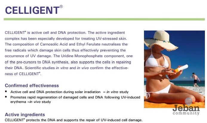 [REVIEW&FAQ] FYNE Sunscreen กัน UV ได้ครบจบในขวดเดียว ☀️