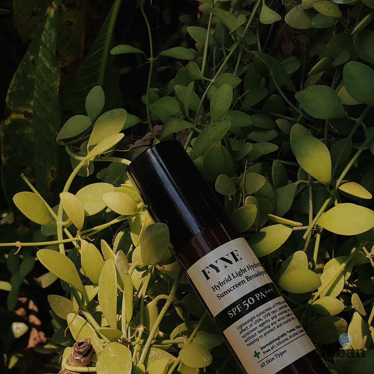 Review: Fyne Hybrid Light Hydrating Sunscreen Broadspectrum กันแดดจาก ...