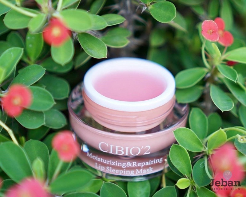 บำรุงปากให้น่าจุ๊บด้วย CIBIO’2 Lip Sleeping Mask Scale Gail