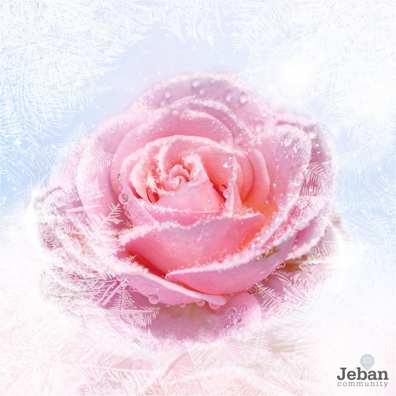 Review : เคลียร์ผิวหน้า กับ NIVEA ROSY WHITE HOKKAIDO ROSE