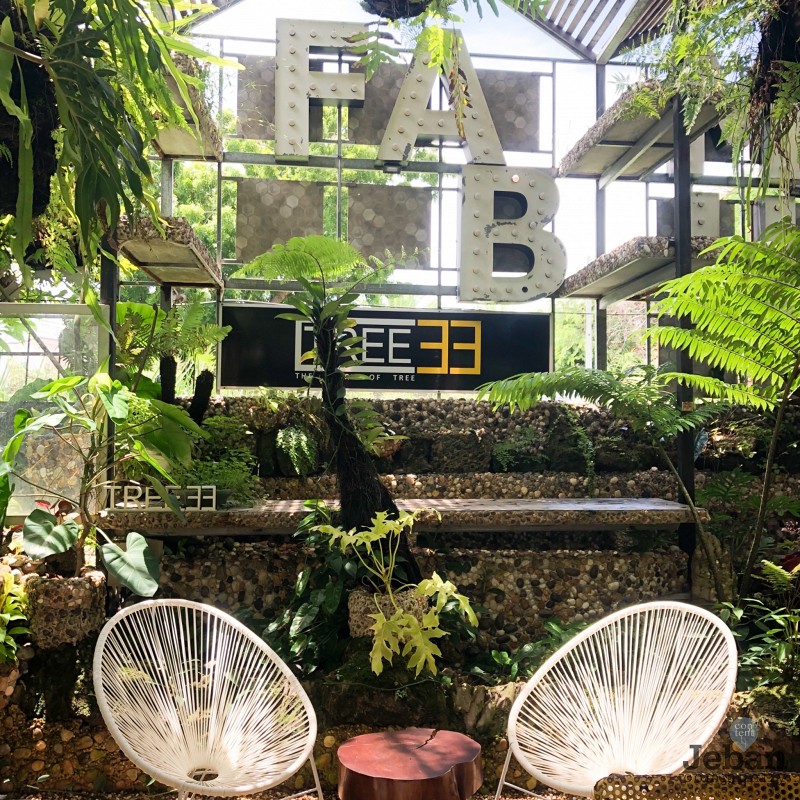 REVIEW CAFE TREE 33 🌱