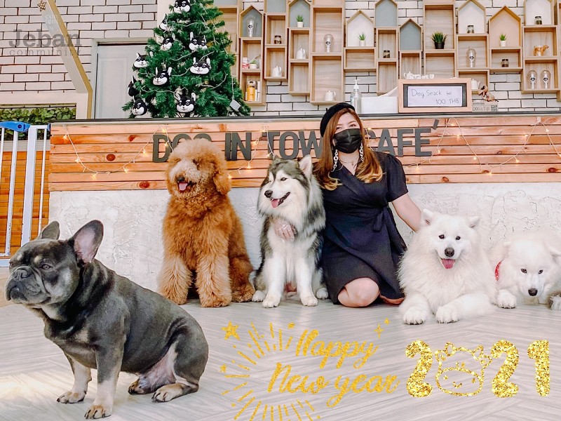 [วี่พาเที่ยว] ทัวร์คาเฟ่หมา Dog in Town อารีย์