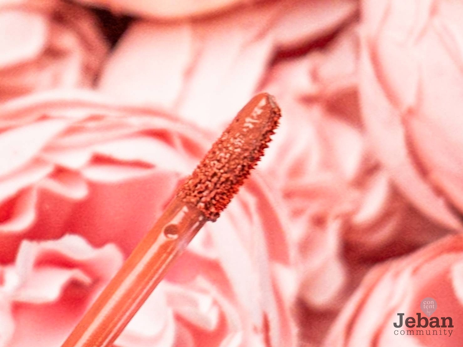 รีวิว ลิป Etude fixing Tint ตัวใหม่