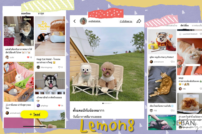 รีวิว App Lemon 8 แอปพลิเคชั่นรวมไอเดียความงาม แฟชั่นเทรนด์และไลฟสไตล์ ...