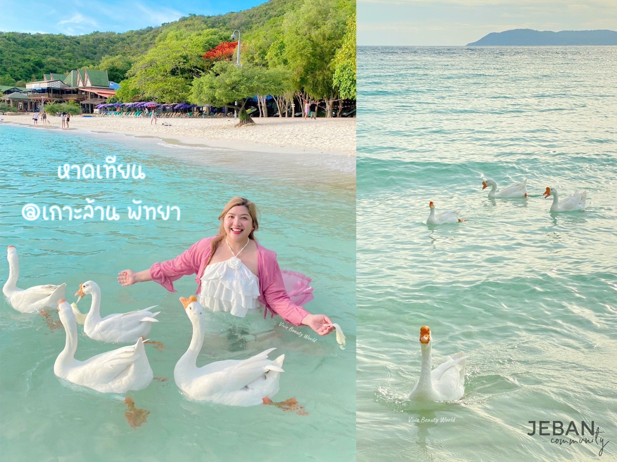 ลุคเที่ยวทะเล ให้อาหารห่าน@หาดเทียน เกาะล้าน