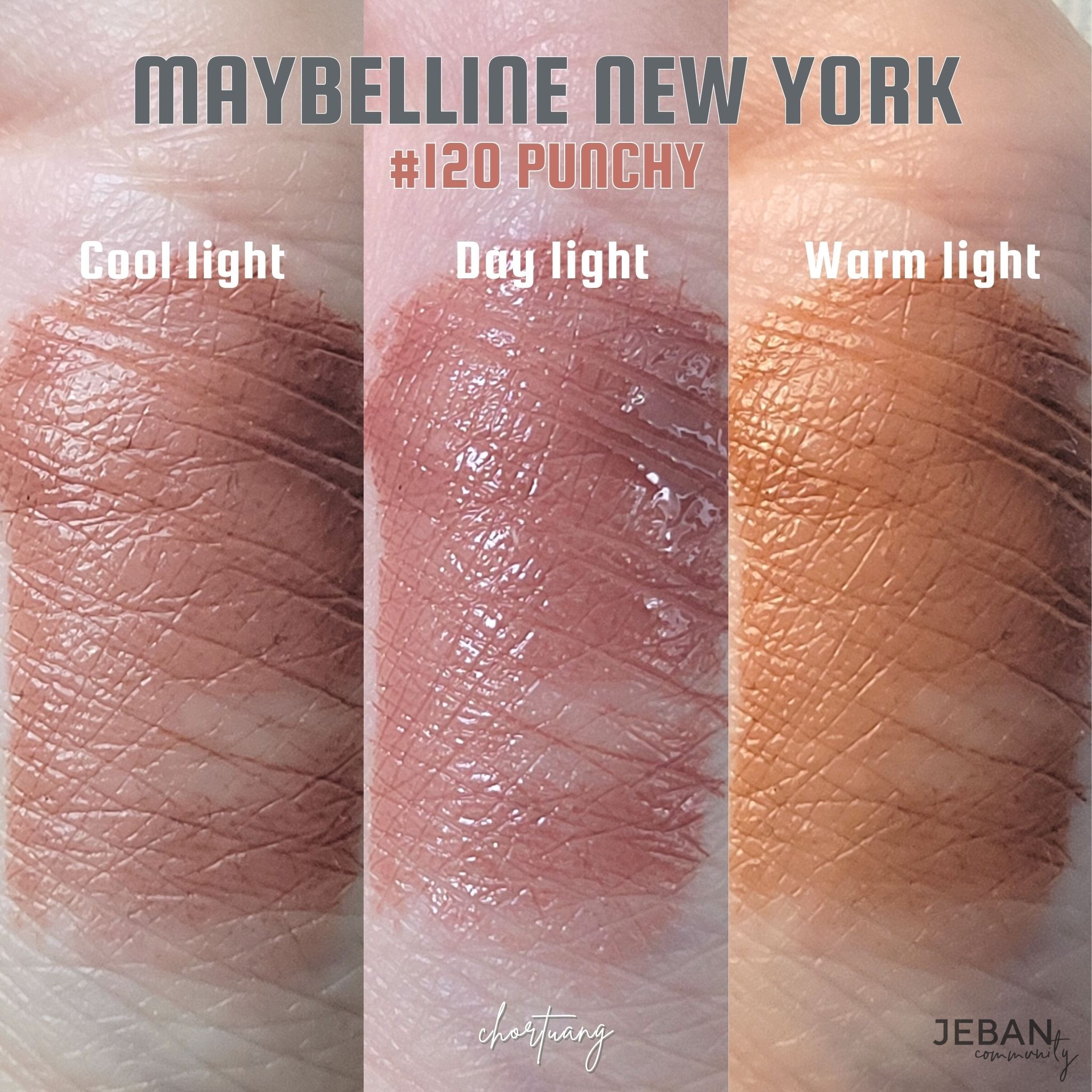 Swatch : Maybelline Super Stay Vinyl Liquid Lipstick #120 PUNCHY