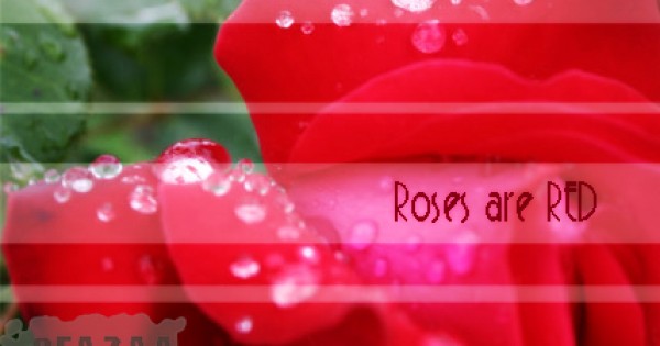 Roses are RED