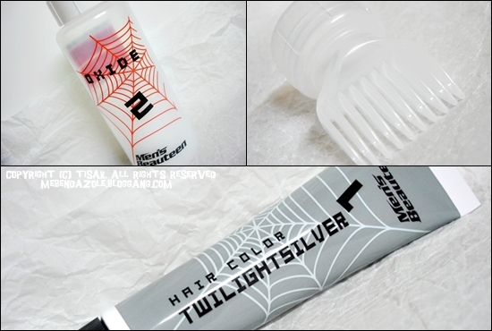 Bloggang.com : ติศักดิ์ : ผมเทาด้วย Beauteen Twilight Silver